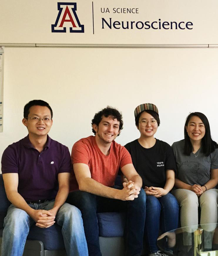 Cai Lab Paper to be Published in Molecular Metabolism | Department of ...